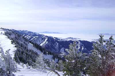 W11 Assignment: The Weather Site